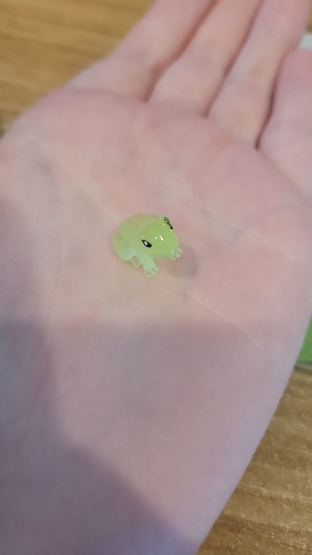 The Invisible Frogs - NSA Wiki